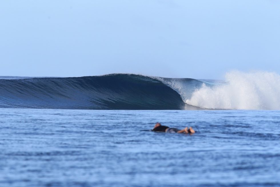 Pohnpei Surf Club :: Western Pacific | Waterways Travel Surf Adventures