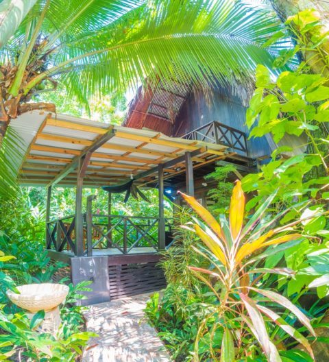 Red Frog Bungalows | Waterways Travel Surf Adventures