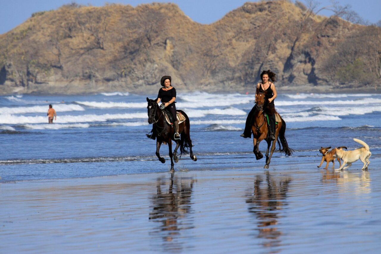 Safari Surf Tour Nosara: Explore Costa Rica's Best Waves