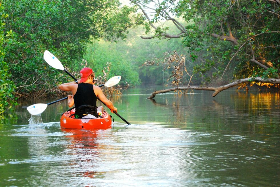 Safari Surf Tour Nosara: Explore Costa Rica's Best Waves